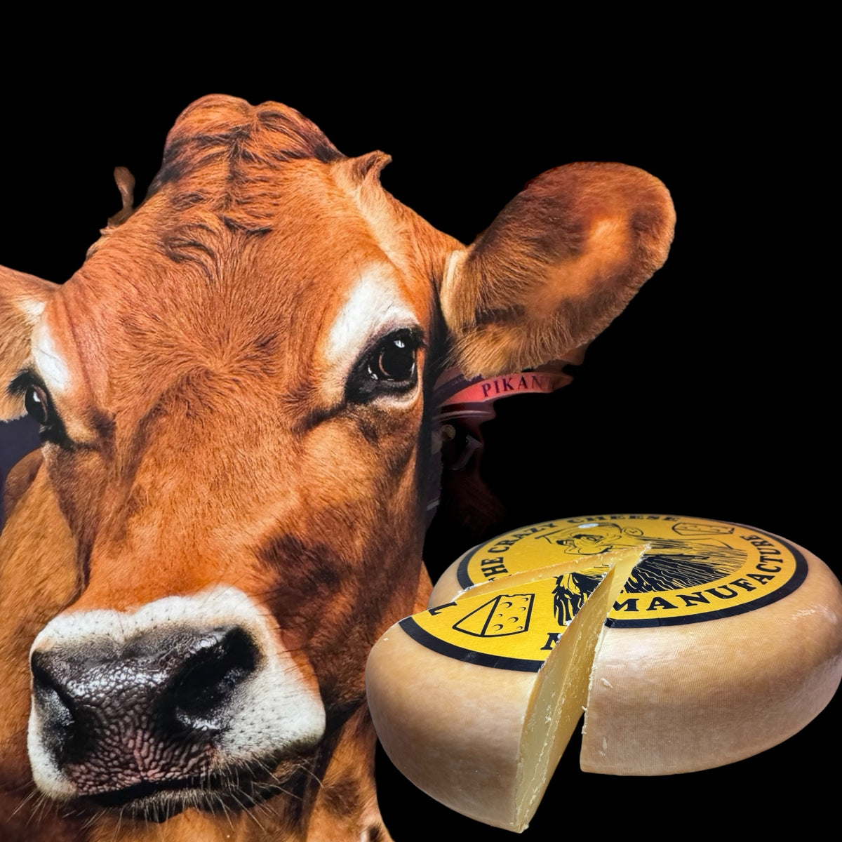 Crazy Jersey mild - A2-Beta-Casein – Crazy Cheese